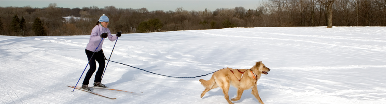 TCO EXCEL Surgery & Recovery